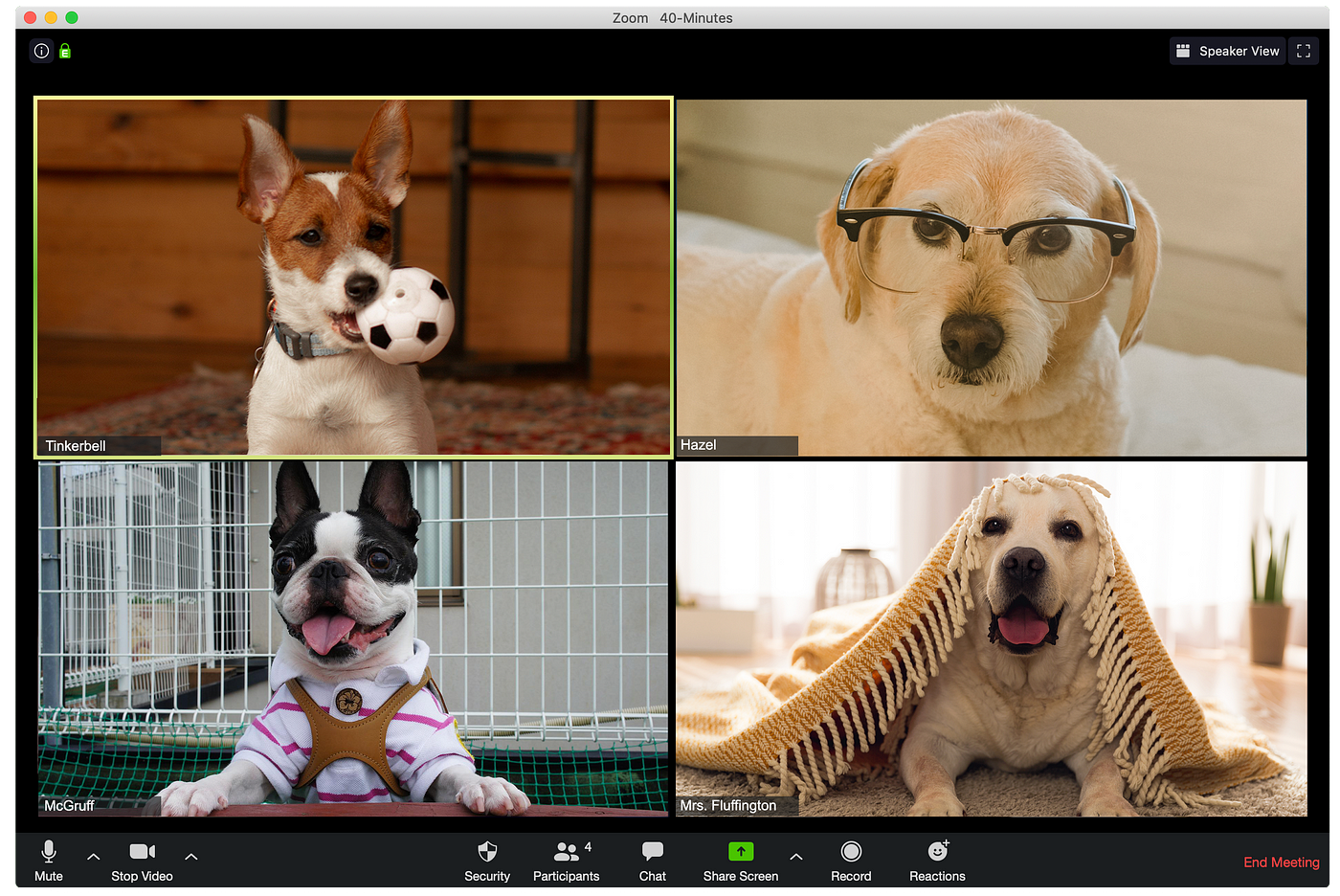 Choosing the Best Media Server for Your WebRTC Application